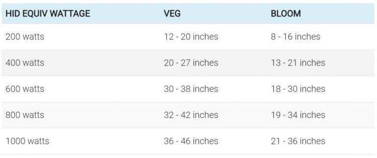 How Far Should Grow Lights Be From Plants (HID, LED, T5)