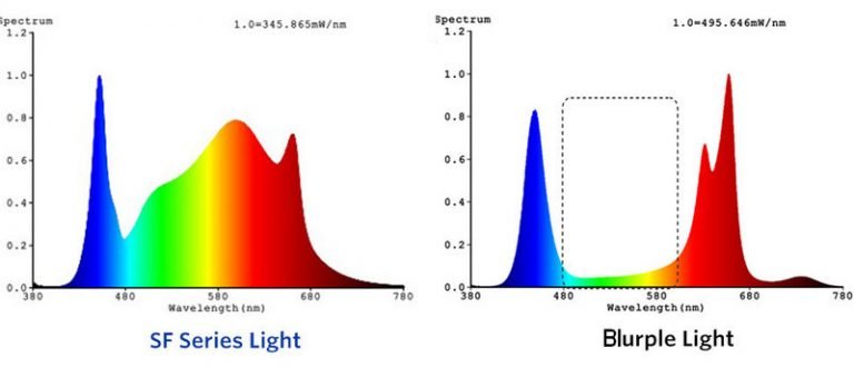 Spider Farmer LED Grow Light Review (Best Value?)