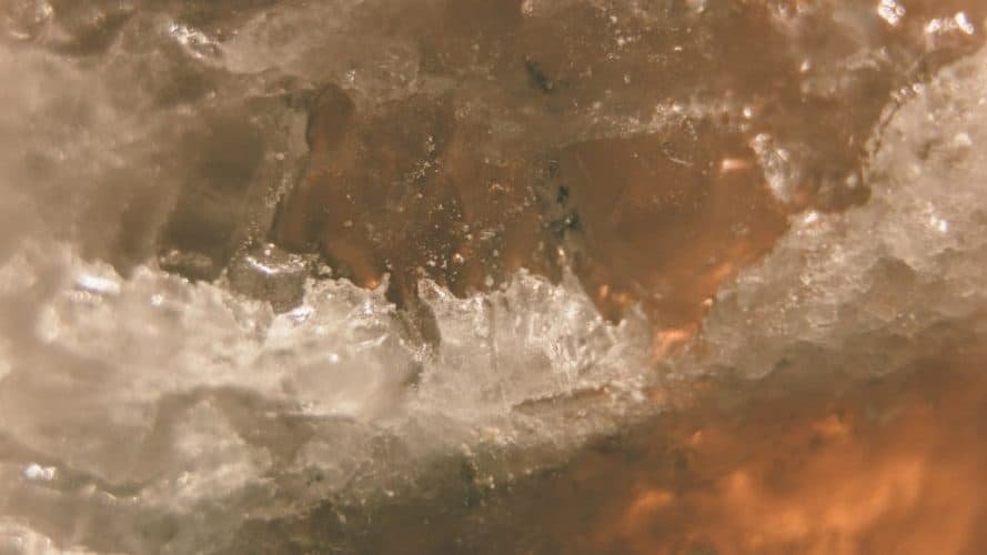 Rust Spots On Leaves During Flowering (The Causes And How To Fix Them)