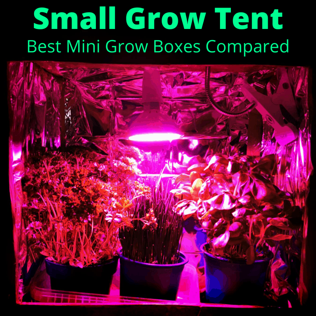 Best Small Grow Tent: Micro Grow Boxes Compared