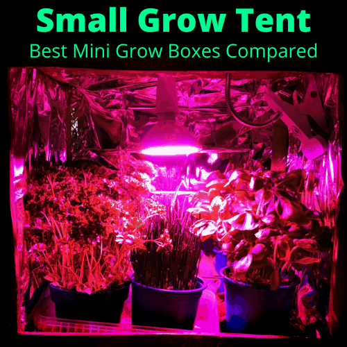 Best Small Grow Tent: Micro Grow Boxes Compared