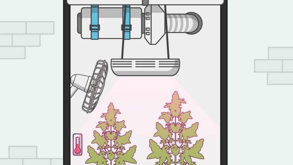 How Often Should Air Be Exchanged In A Grow Room?