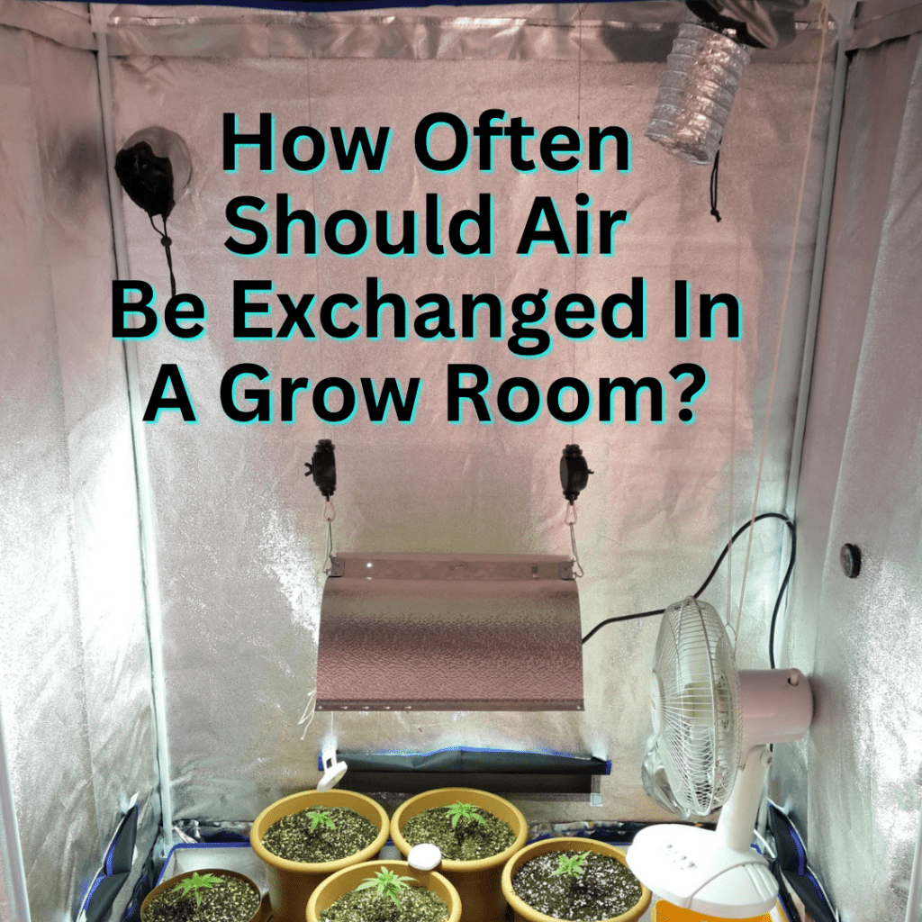 How Often Should Air Be Exchanged In A Grow Room?
