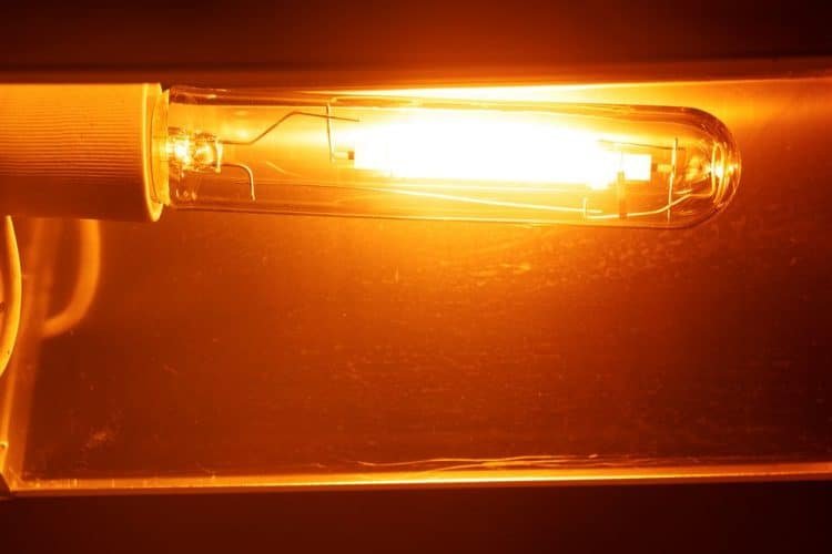 Do Grow Lights Produce Heat? (And Which Produce The Most?)