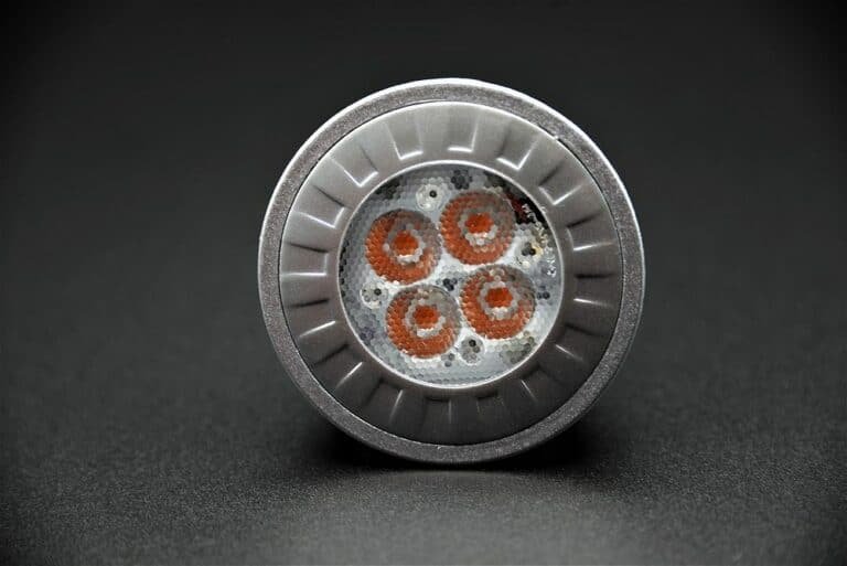 Can I Use Normal LED Light To Grow Plants Indoor?