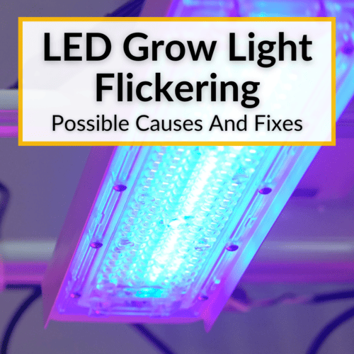 LED Grow Light Flickering (Possible Causes And Fixes)