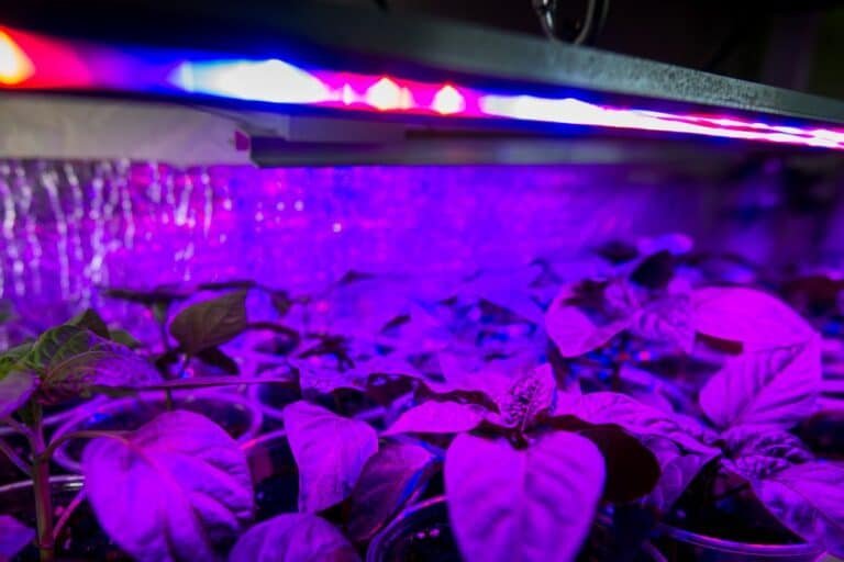 LED Grow Light Spectrum (Everything You Need To Know)