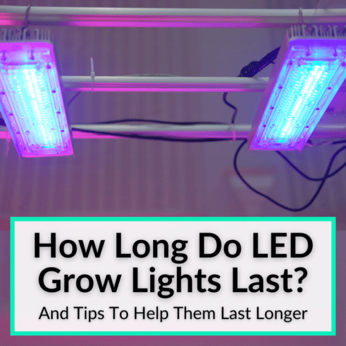 How Long Do LED Grow Lights Last? (+Tips To Help Them Last Longer)
