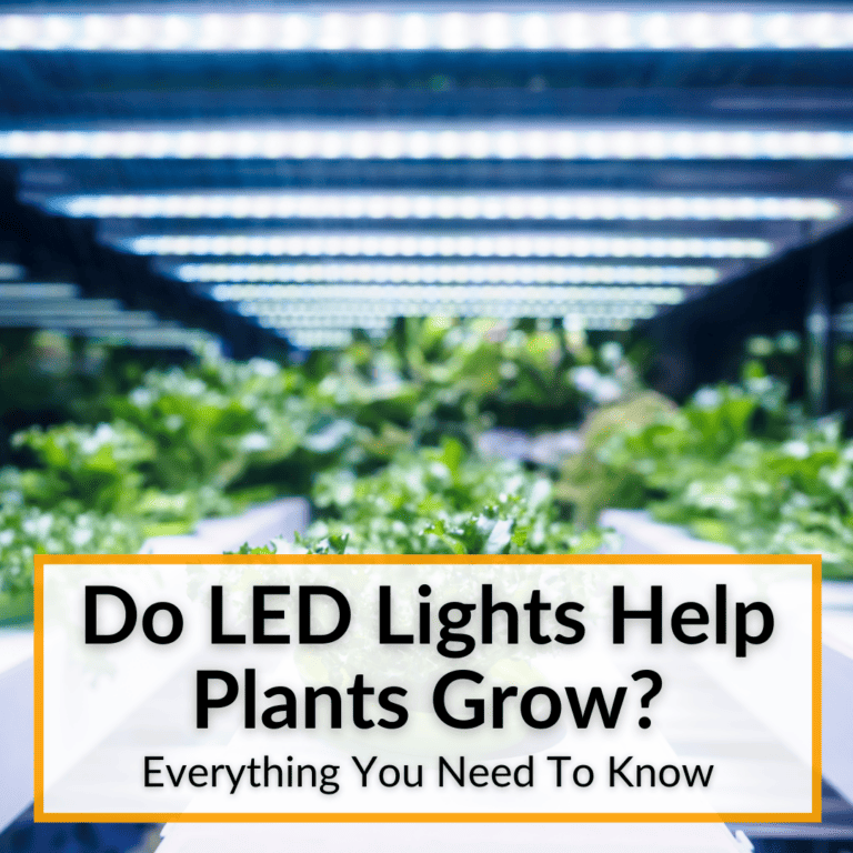 Do LED Lights Help Plants Grow? (Everything You Need To Know)