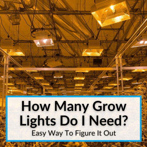 BestVA LED Grow Light Review (Exaggerated Claims But Good Value)