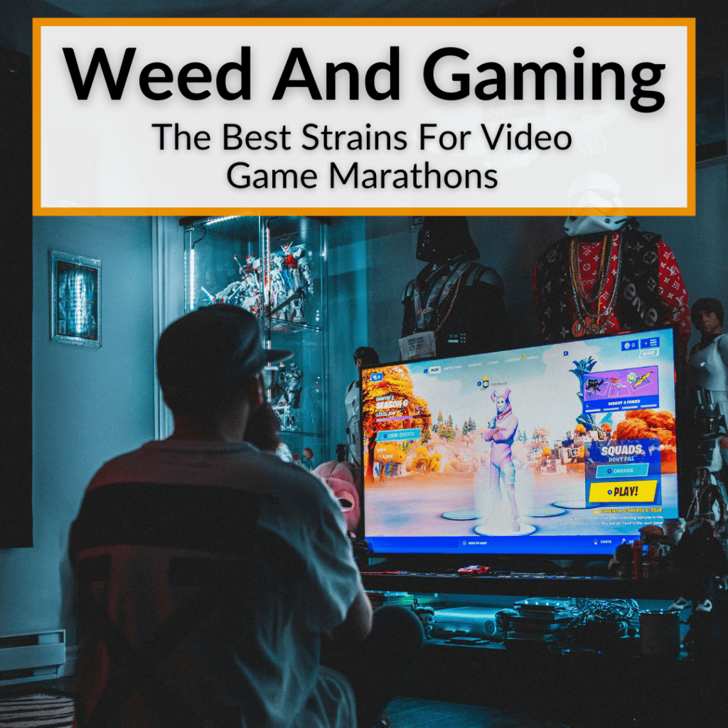 How Far Should Grow Lights Be From Plants (HID, LED, T5)