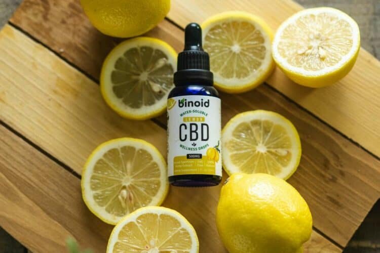 The Science Behind The Munchies (Why Weed Makes You Hungry)