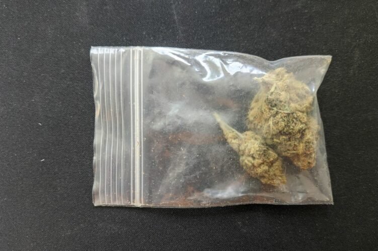 Cannabis For Seniors: Addressing Common Questions And Concerns