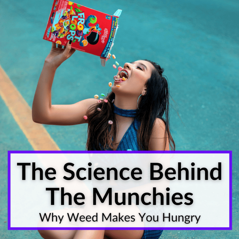 The Science Behind The Munchies (Why Weed Makes You Hungry)