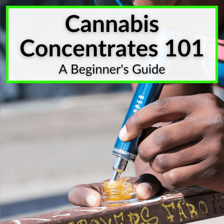 Cannabis Concentrates 101 (A Beginner's Guide)