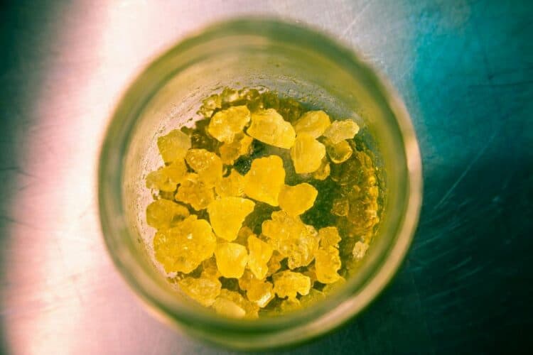 Cannabis Concentrates 101 (A Beginner's Guide)