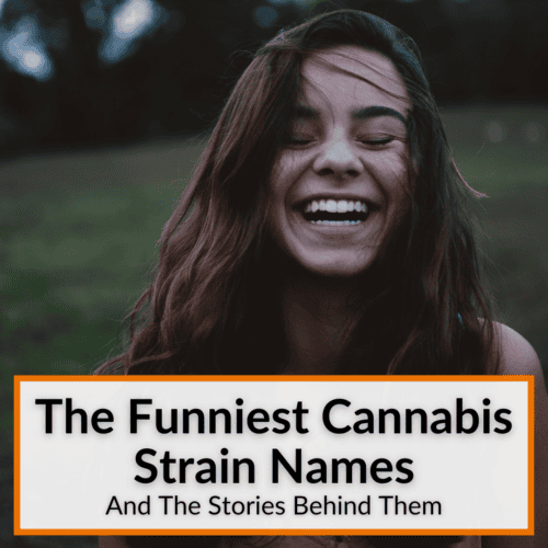 The 13 Funniest Cannabis Strain Names (And The Stories Behind Them)