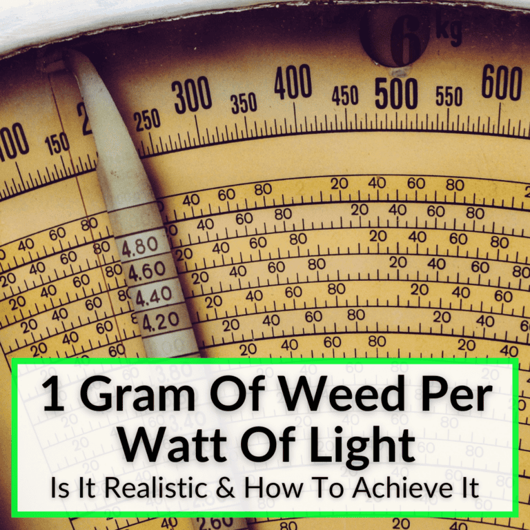 How Far Should Grow Lights Be From Plants (HID, LED, T5)